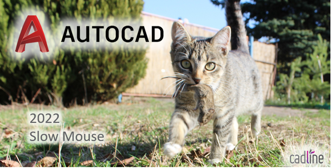 AutoCAD 2022: Slow Mouse – ARKANCE UK Community